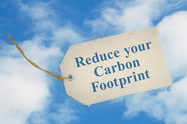 Explore Bio Diesel & BioPure™ Heating Oil - Townsend Energy